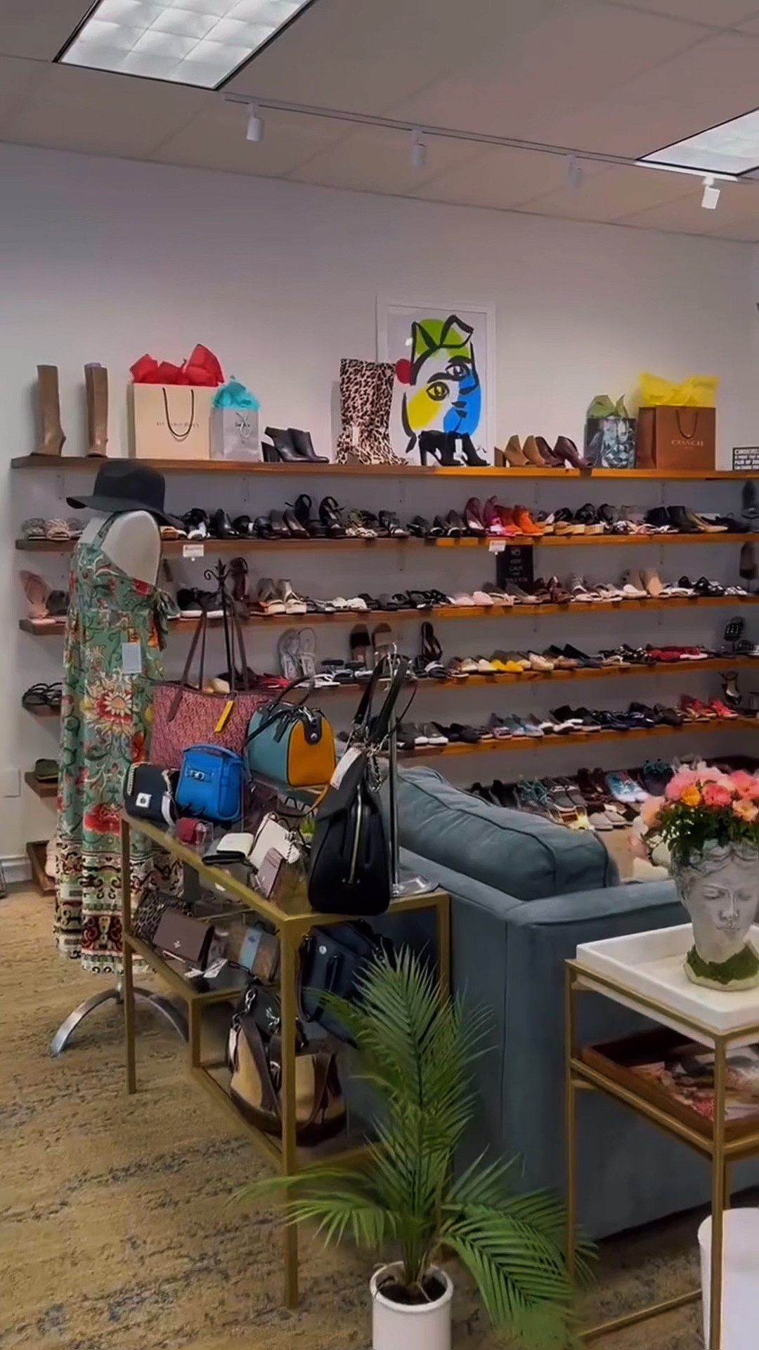 Intro New Business - Pippit