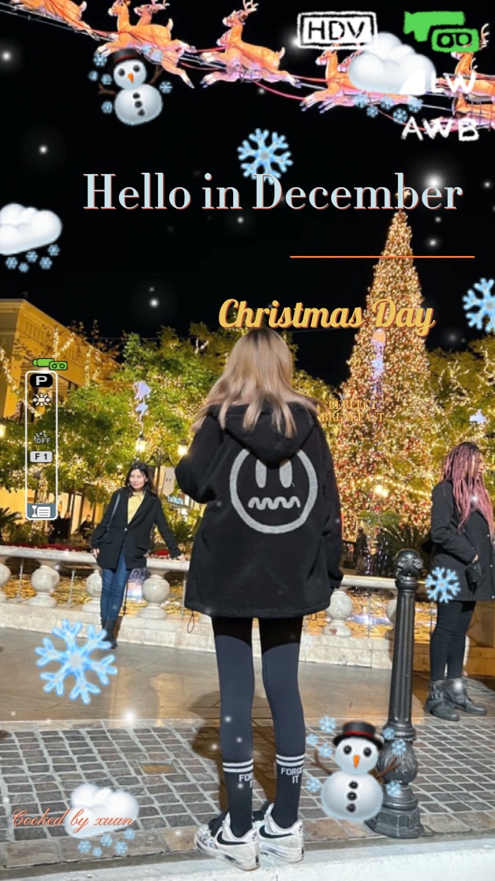 Snowy Christmas Photos Template - Pippit