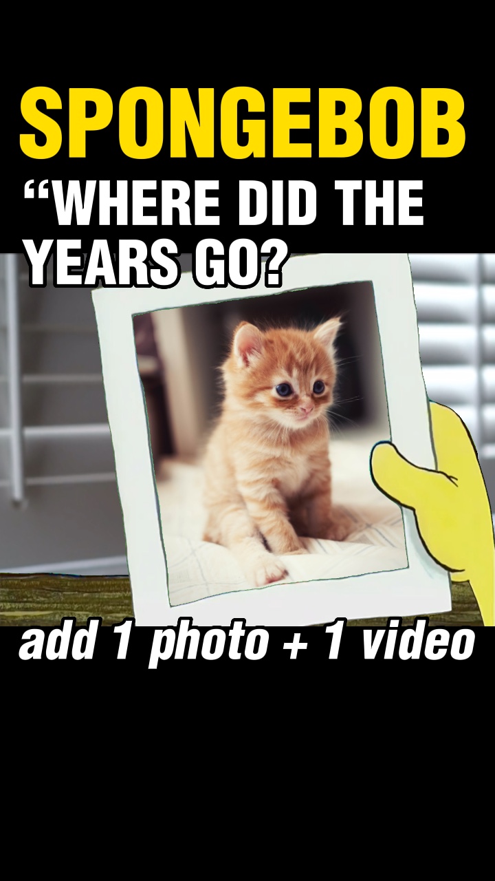 SpongeBob picture - video template by CapCut