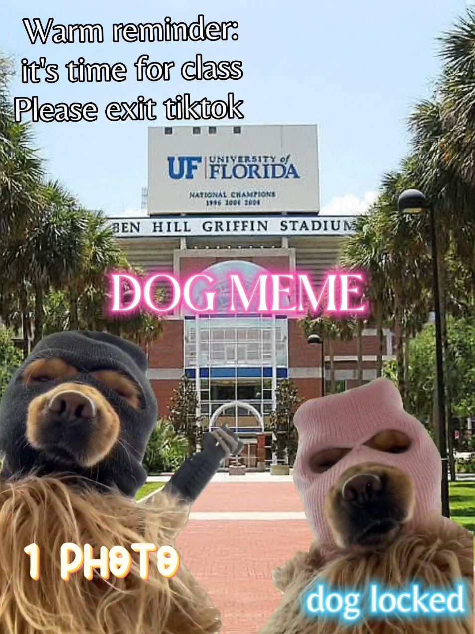 Dog Scared Meme - Pippit