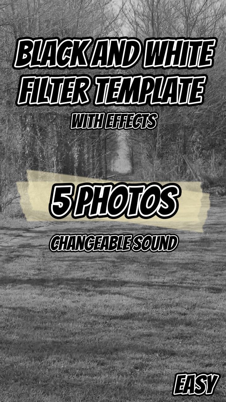 Black and White Effect AI Generated - Pippit