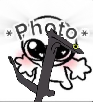 Toothless meme - video template by CapCut