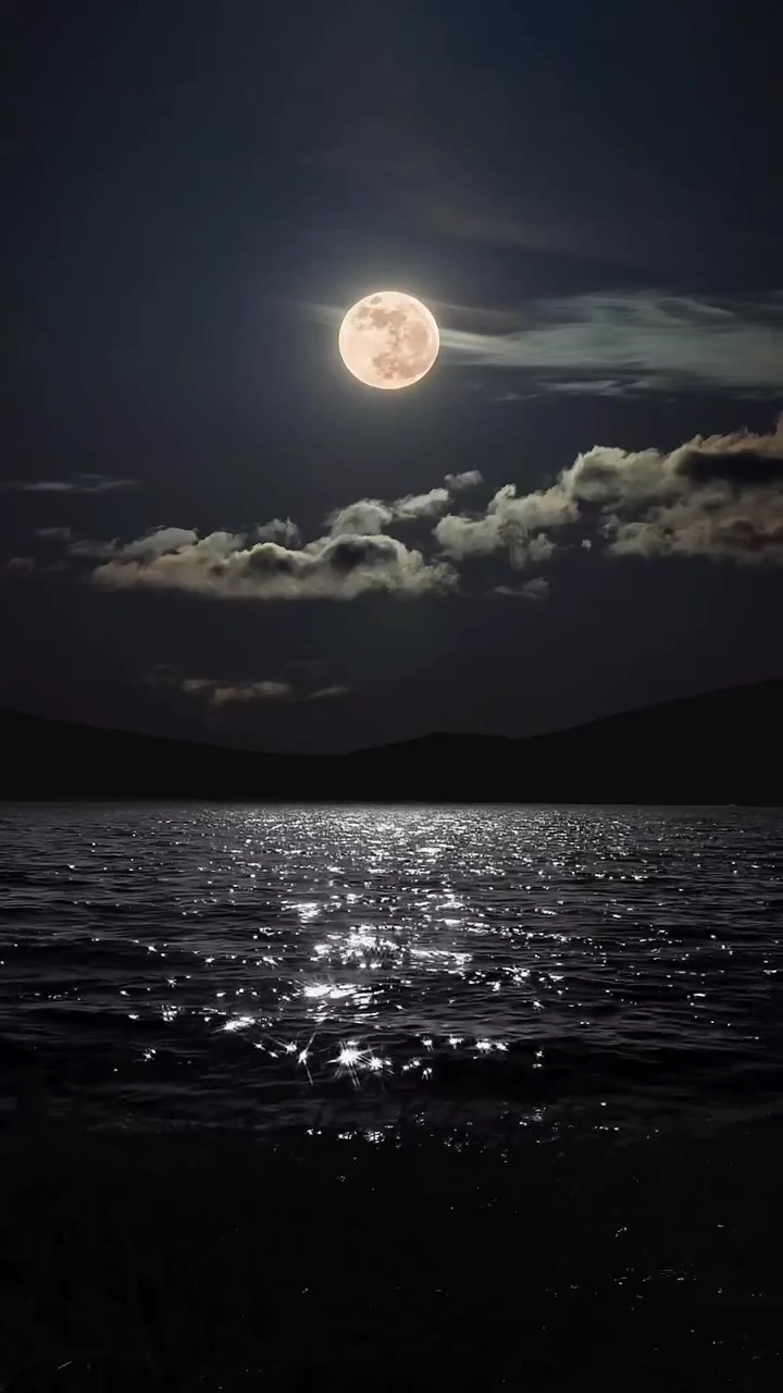 Blur Background Effect SPM - Pippit