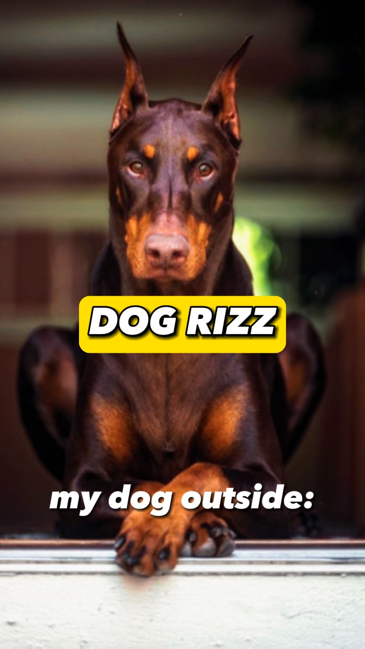 Dog Dialogue Status Templates - Pippit