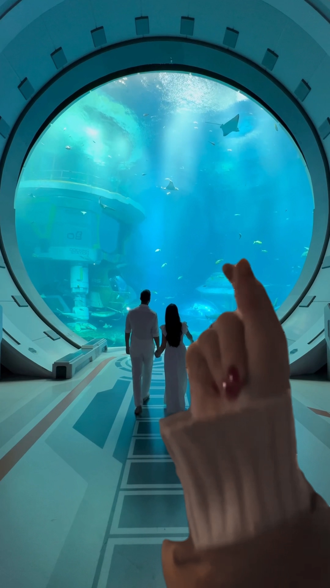 Couple Hand Transition Template - Pippit