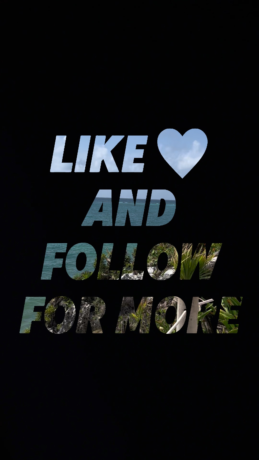 Follow Animation TikTok - Pippit