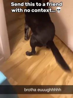 Eww Meme: Discover Viral Reactions & Funny Moments Online