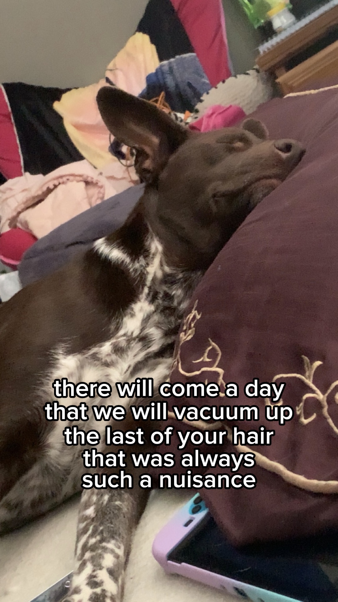 Moments Sad Templates - Pippit