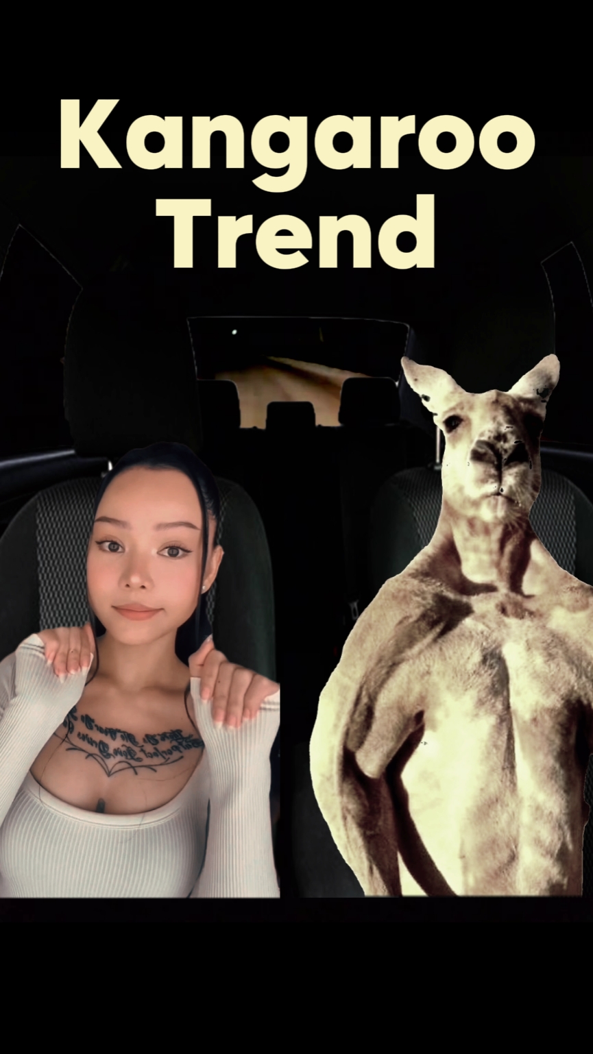 Kangaroo Meme - video template by CapCut