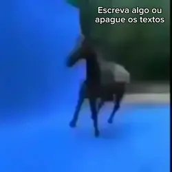 Cavalo Meme: Discover the Funniest Cavalo Moments Online