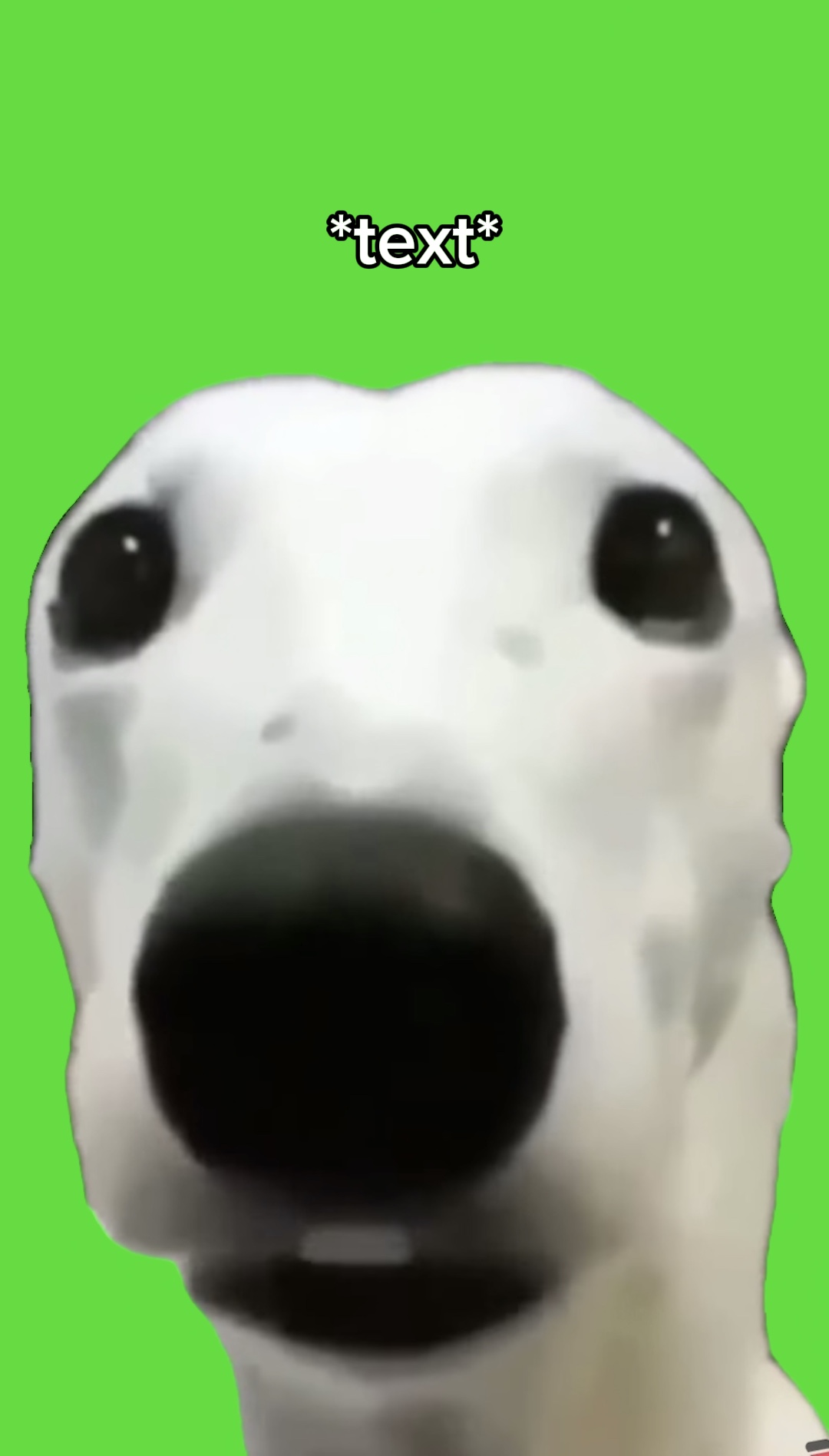 Dog Scared Meme - Pippit