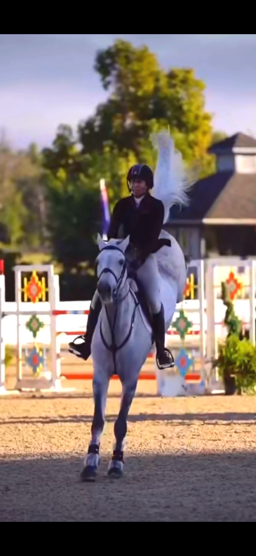 White Horse Running Templates - Pippit