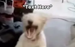 Dog Barking Meme: Discover Funniest Viral Trends Online