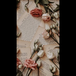 Anime Guys Video Template By Capcut