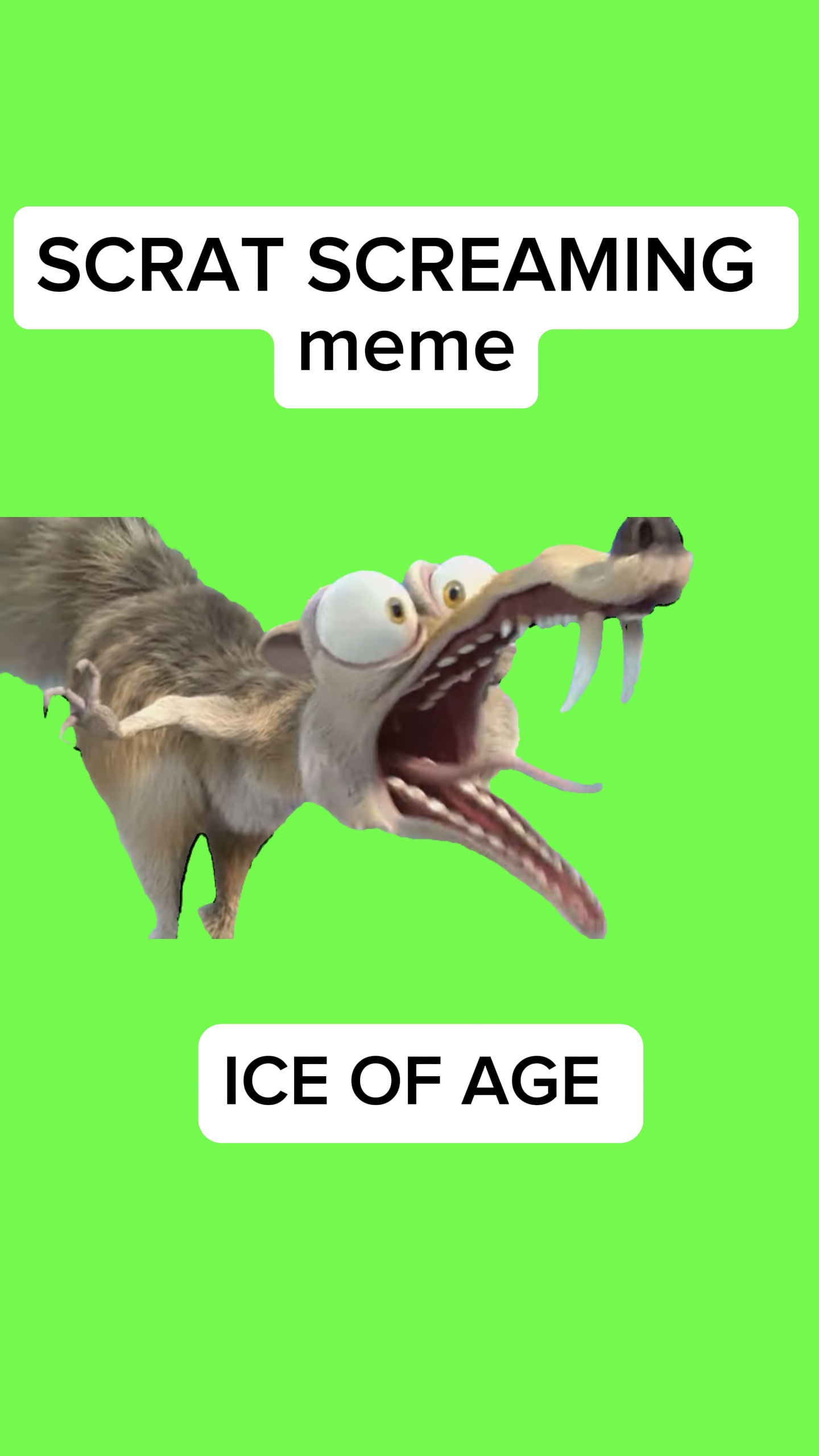 SCRAT SCREAMS meme - video template by CapCut