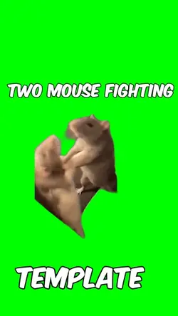 Mouse Meme: Discover the Funniest Mouse Memes Online
