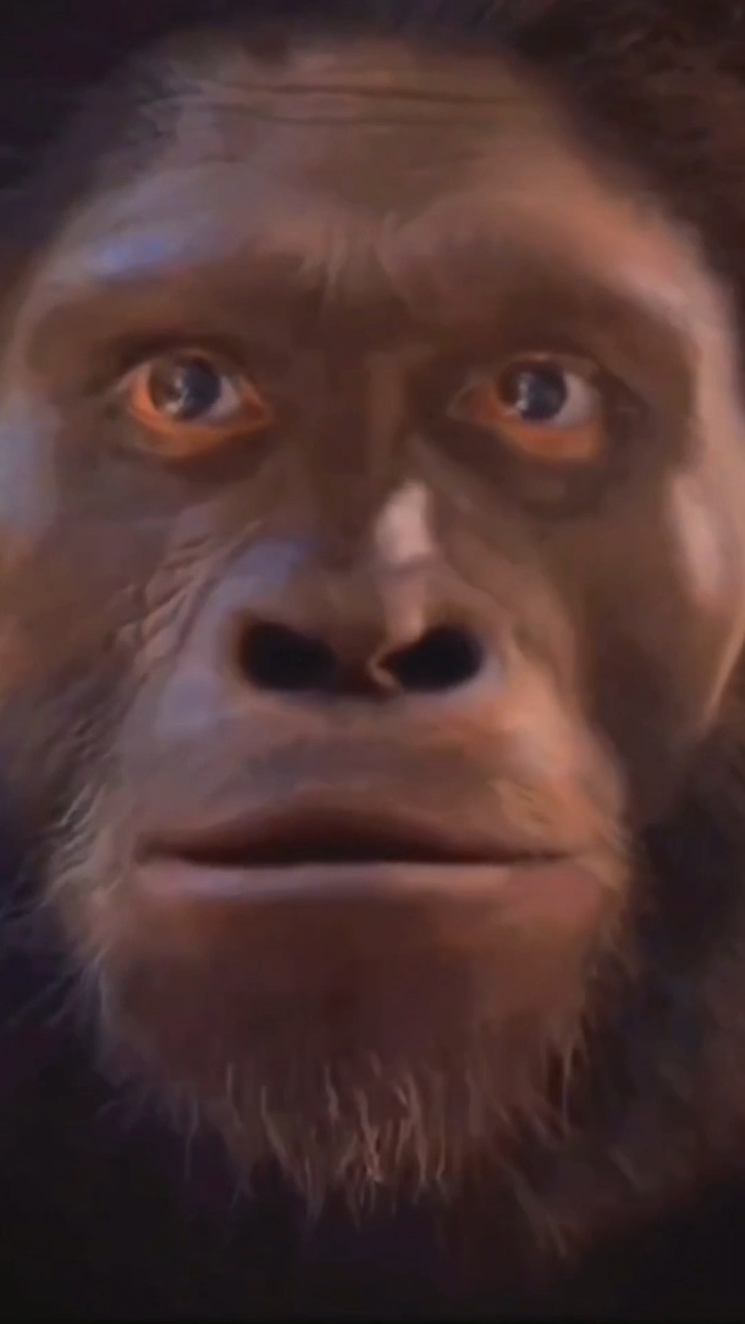 Monkey Transition - video template by CapCut