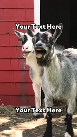 Goat Memes – Discover Hilarious Goat Memes Online Now