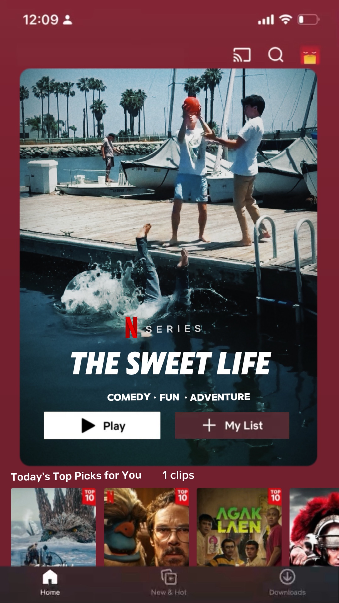 Netflix Flyer - Pippit