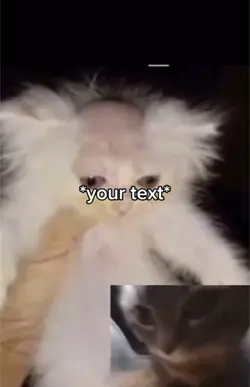 Angry Cat Meme: Discover the Funniest Cat Reactions Online