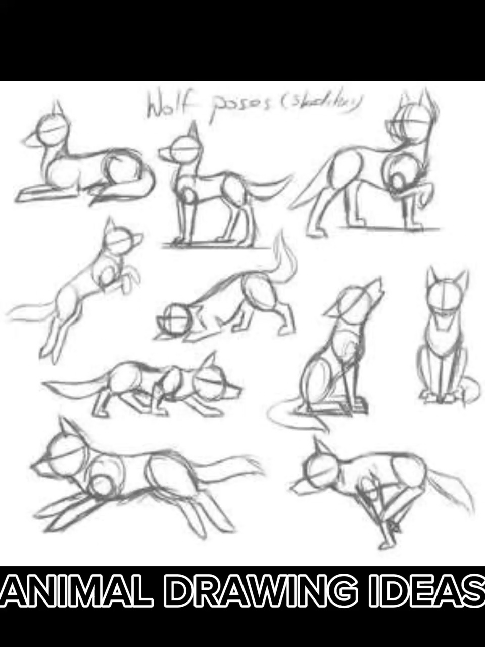 how to draw a therian - Pippit