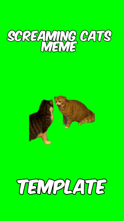 Memes Gritando - Pippit