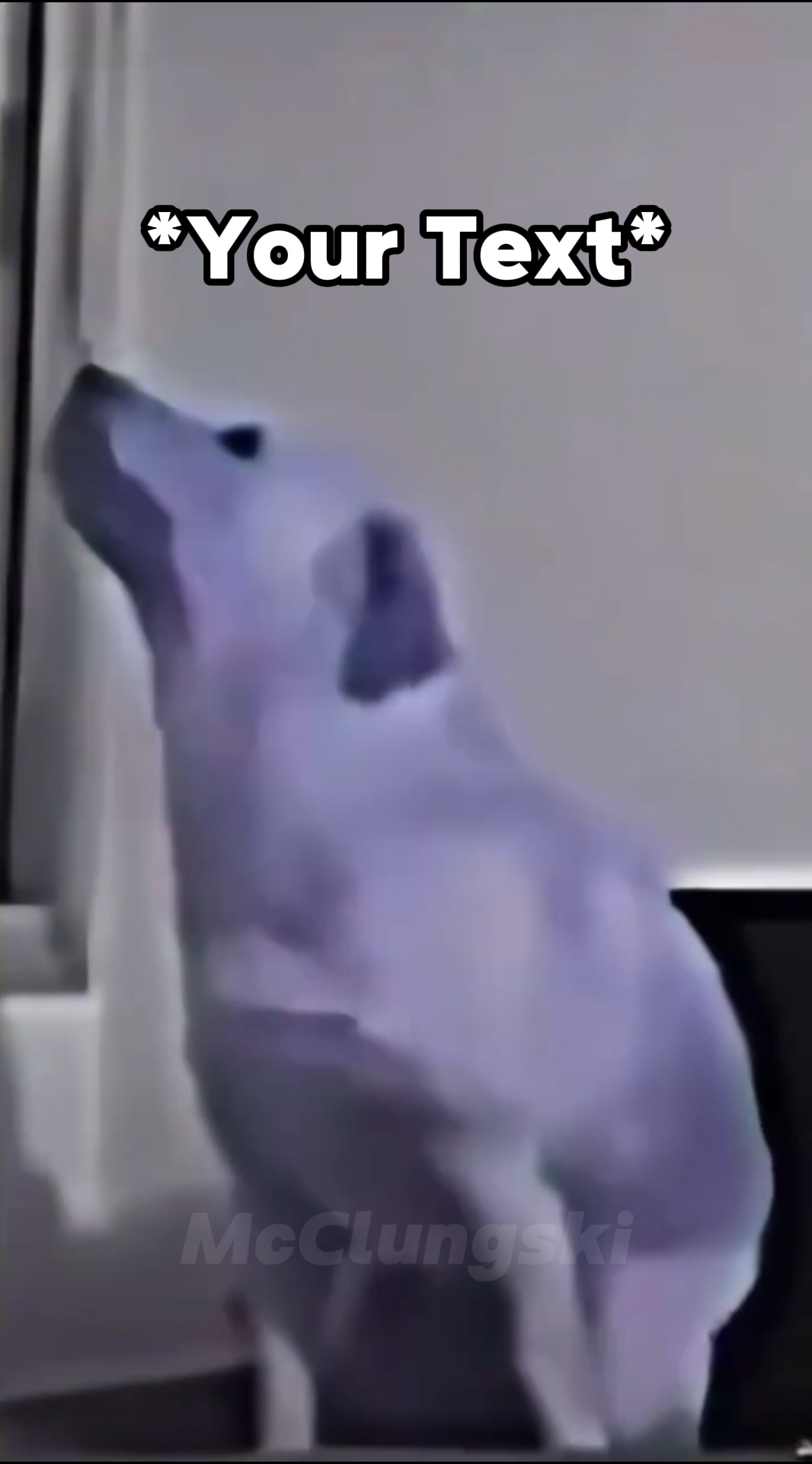 Waka Waka Dog Meme - video template by CapCut