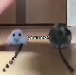 Scared Hamster Meme: Discover the Funniest Reactions Online