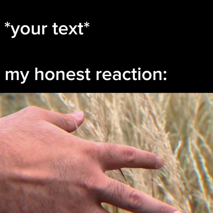 Live Reaction Meme - Pippit