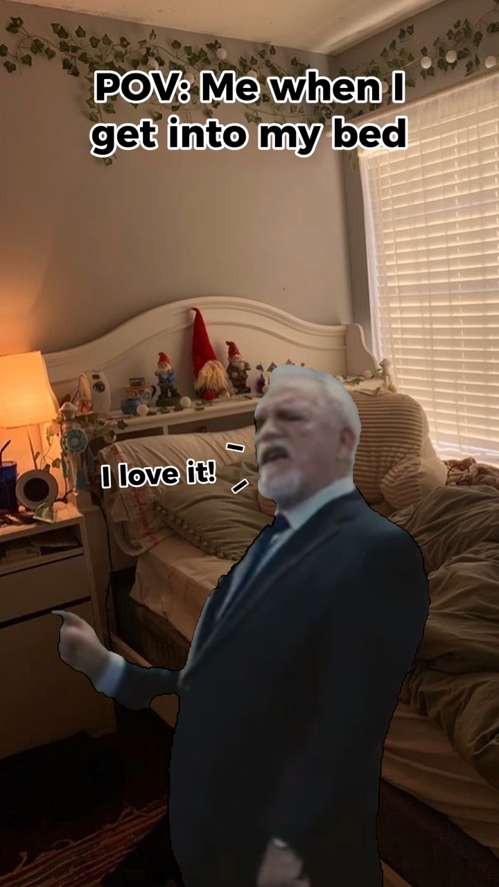 I Love It Meme - Pippit