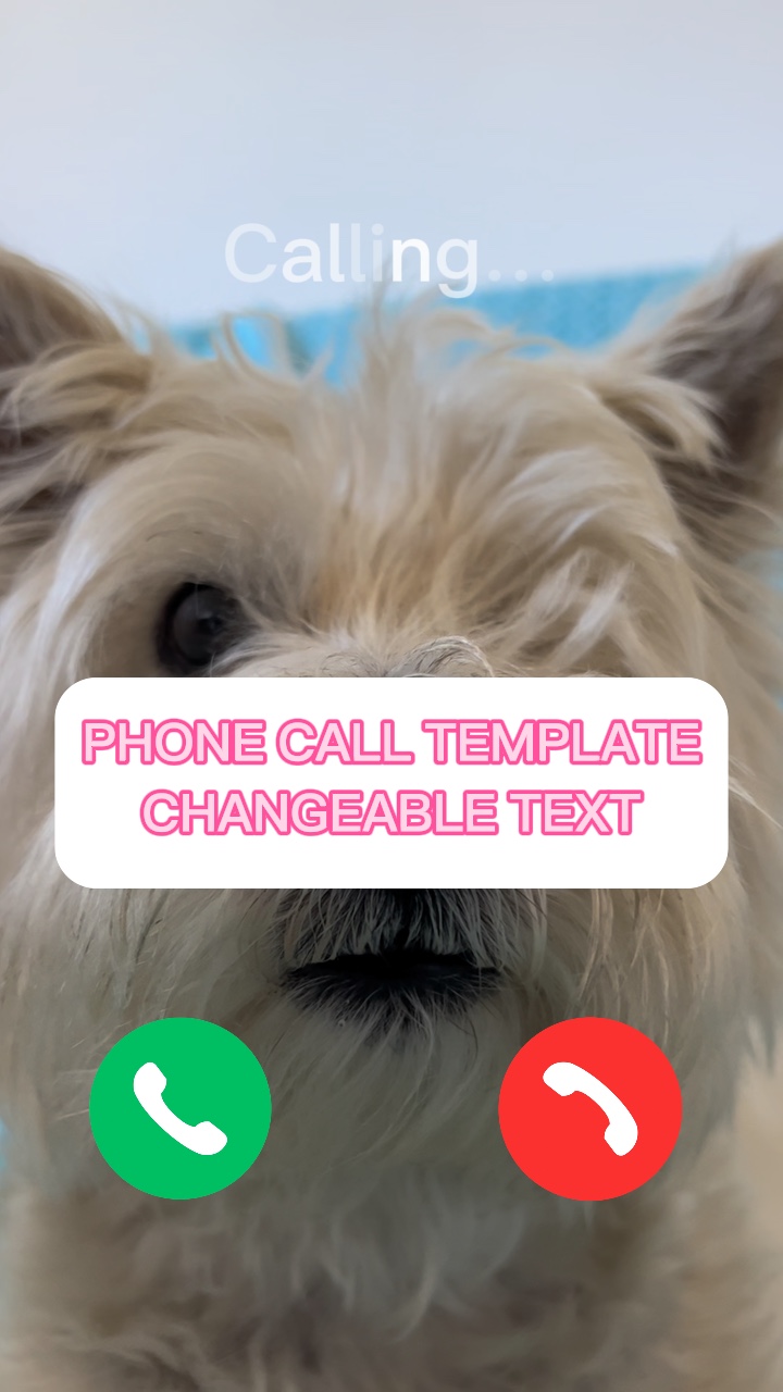 Dog calling - video template by CapCut