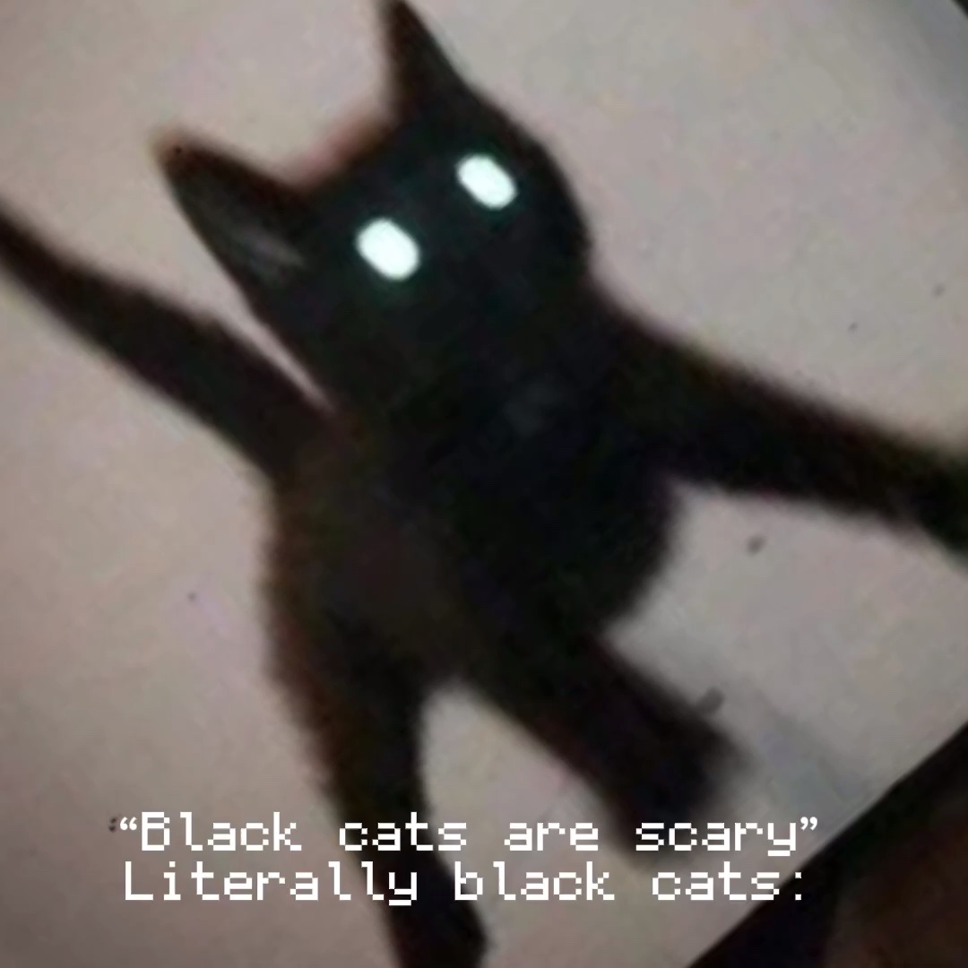 Black Cat Memes Text - Pippit