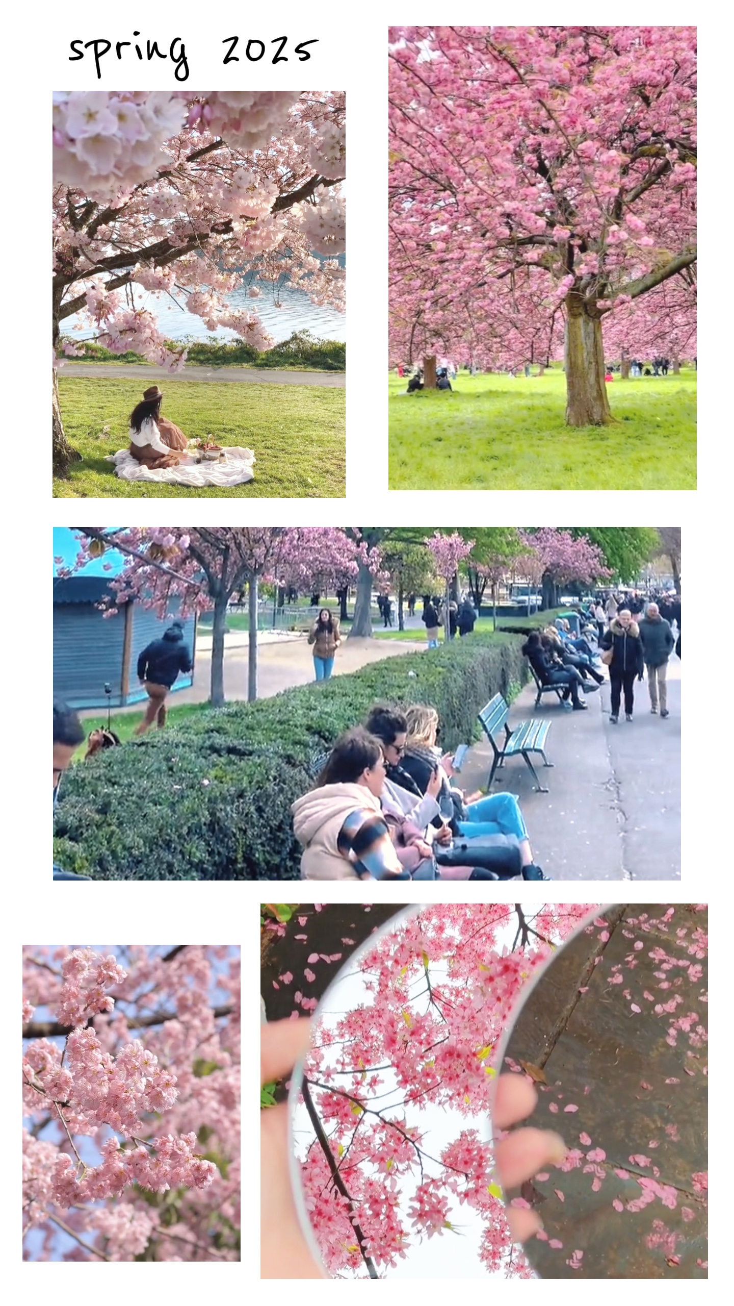 Spring2025 - video template by CapCut