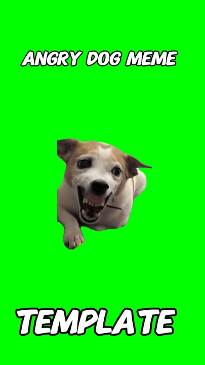 Angry Dog Meme - video template by CapCut