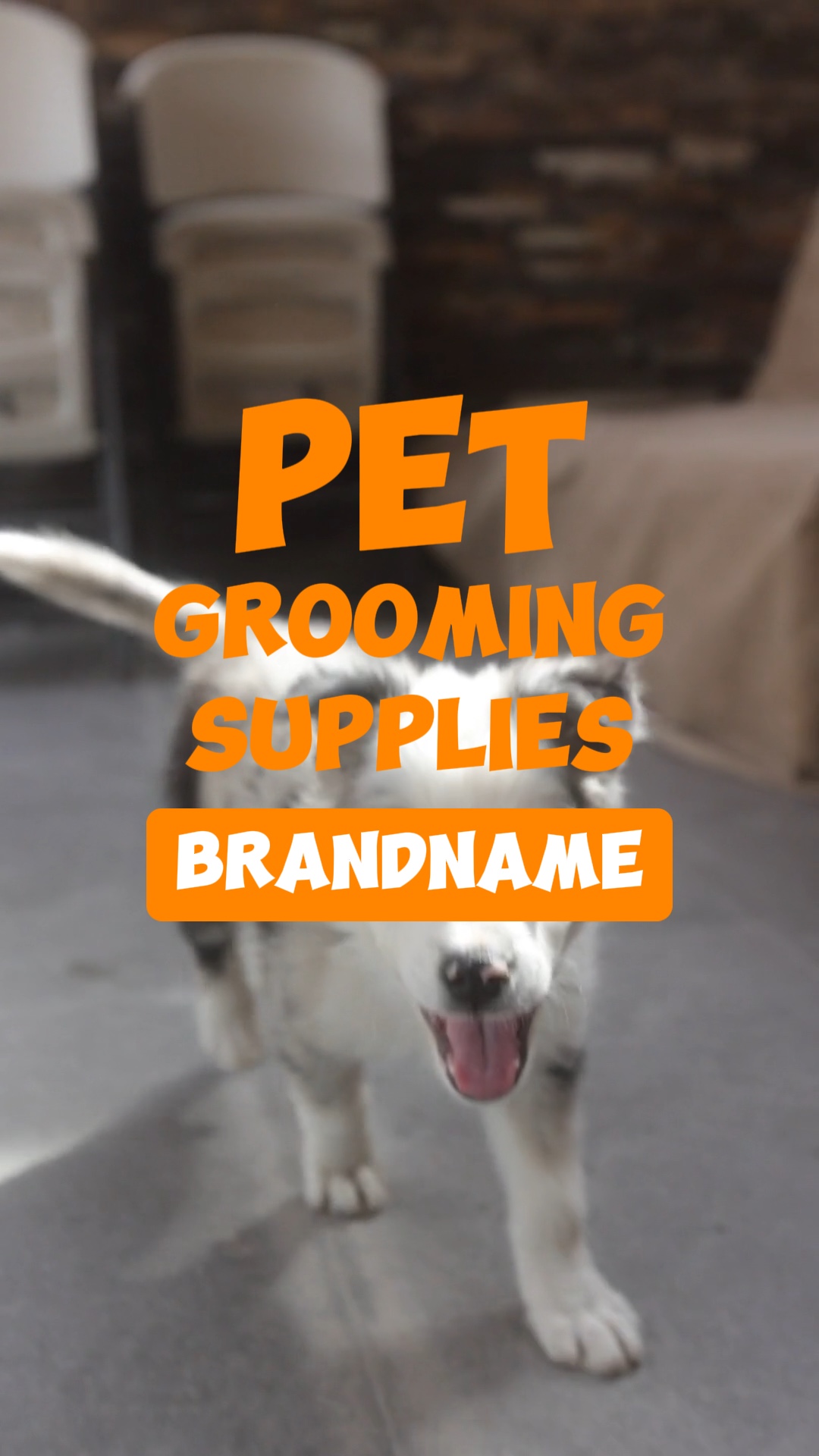 6 Photos Templates Trend - Pippit