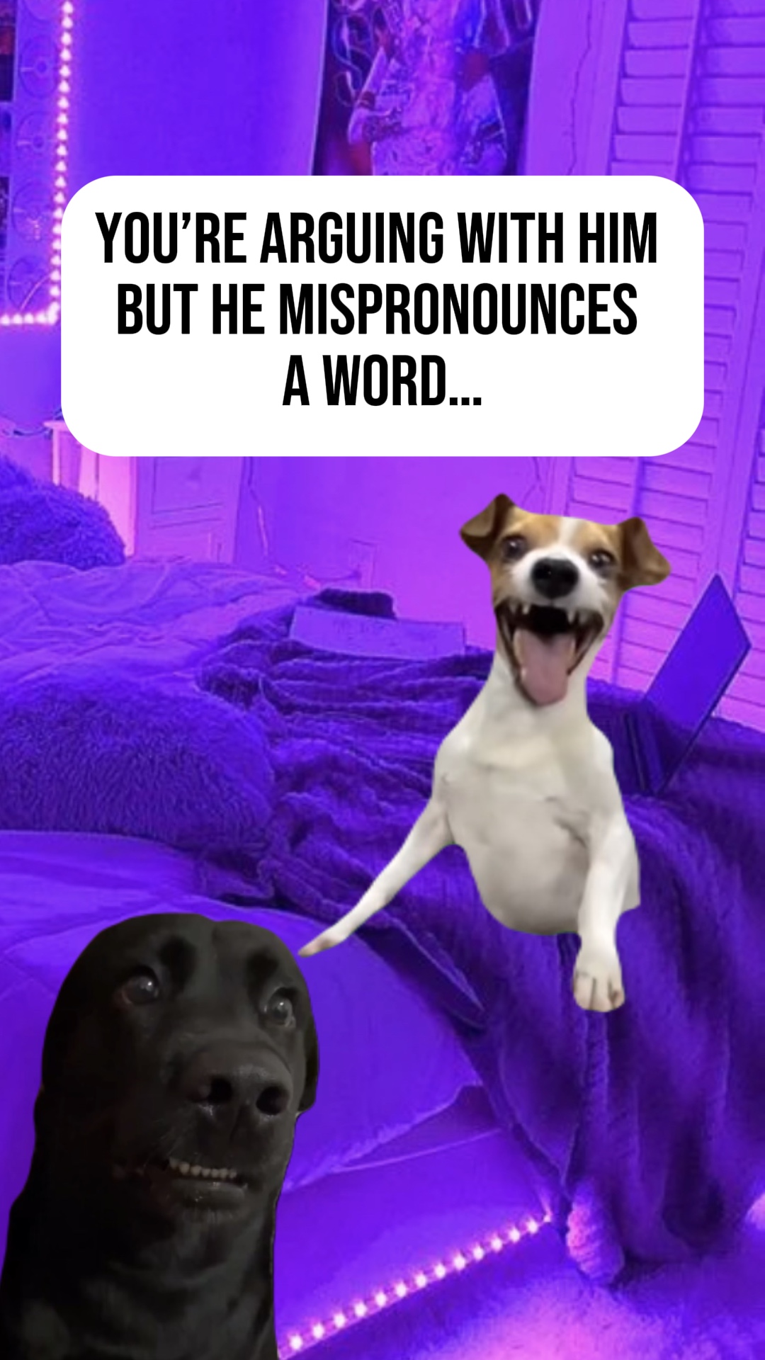 Perro Meme Sonriente - Pippit