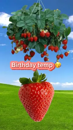 Funimada Happy Birthday GIF: Create Animated Wishes Online