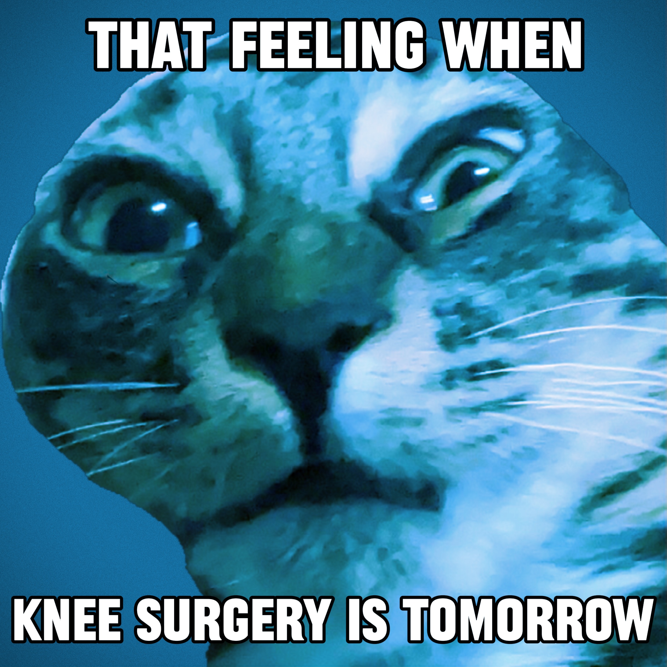 how's your knee memes - Pippit
