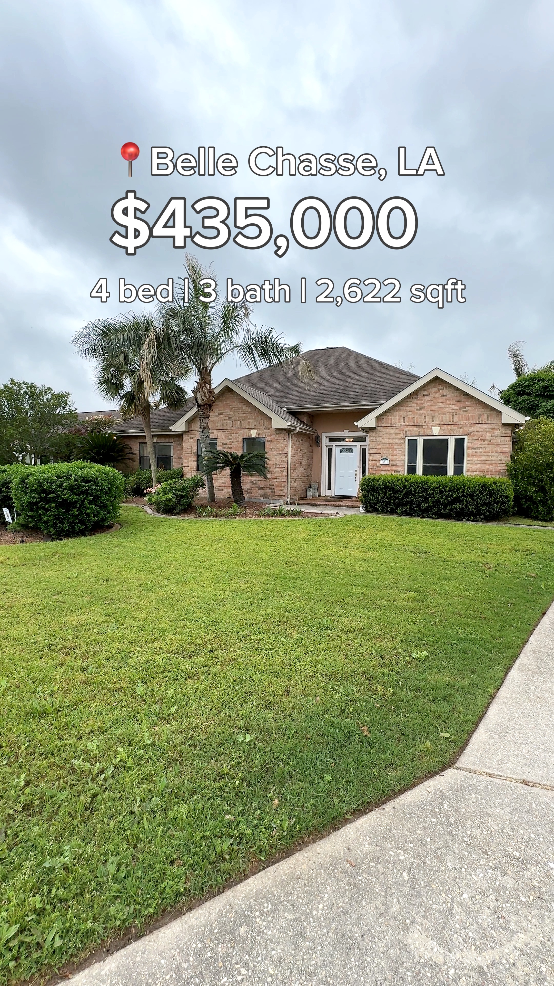 House Full Template - Pippit