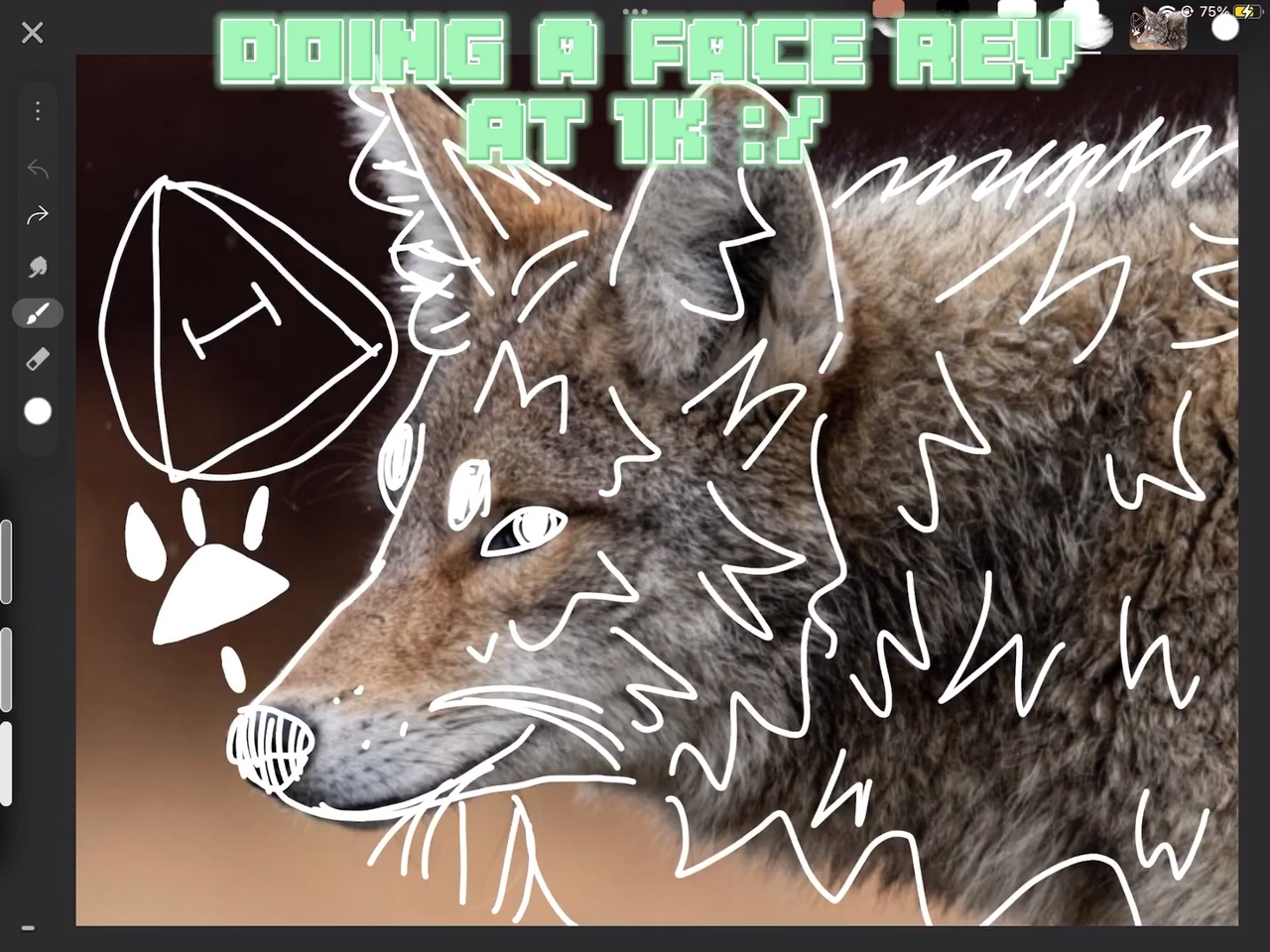 how to draw a therian - Pippit