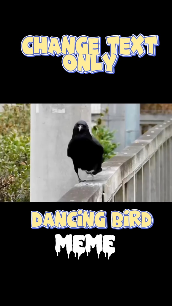 ai bird meme - Pippit