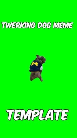 Fat Dog Meme: Boost Your Humor with Viral Dog Memes Online