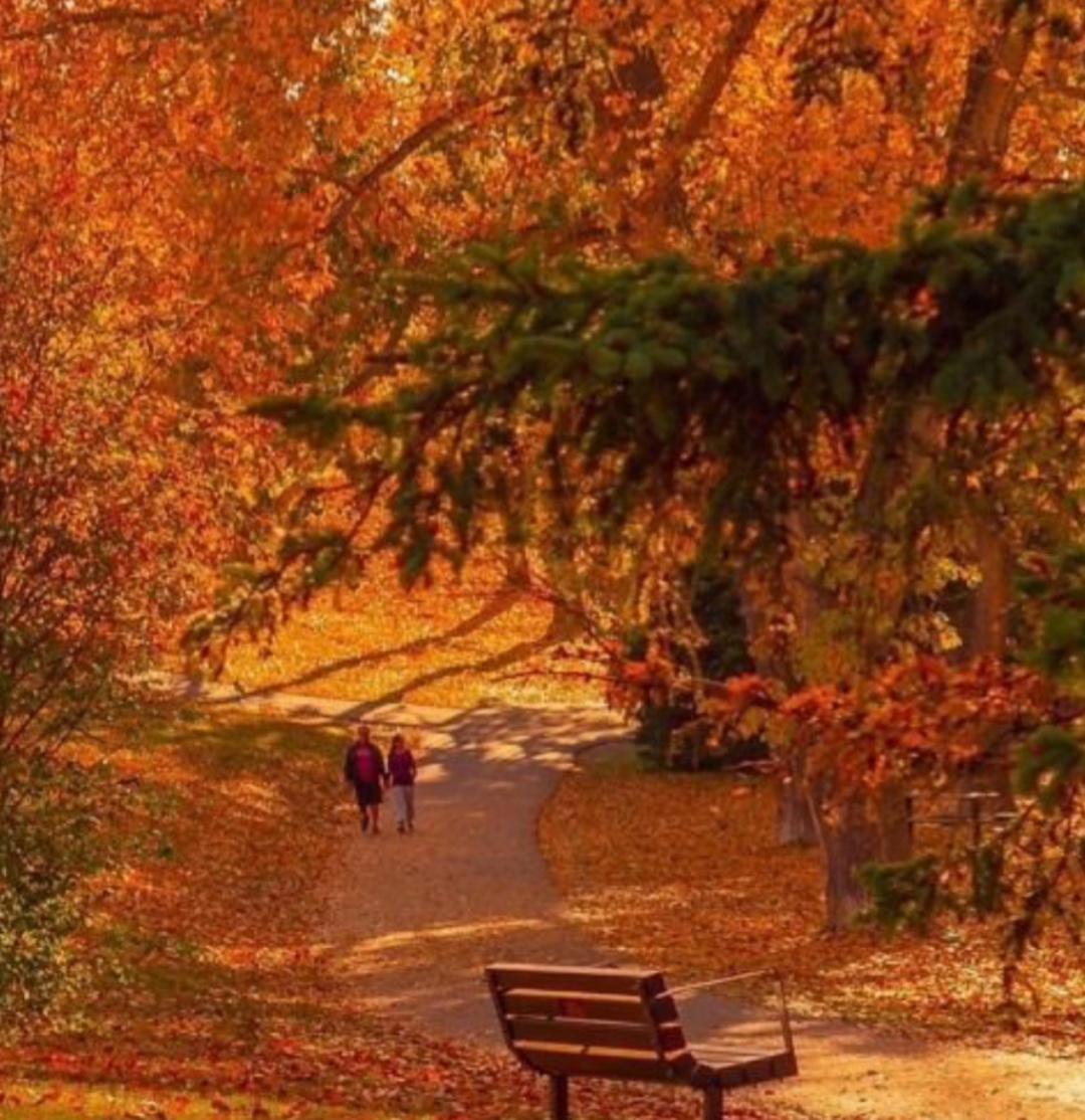 dti fall autumn theme - Pippit
