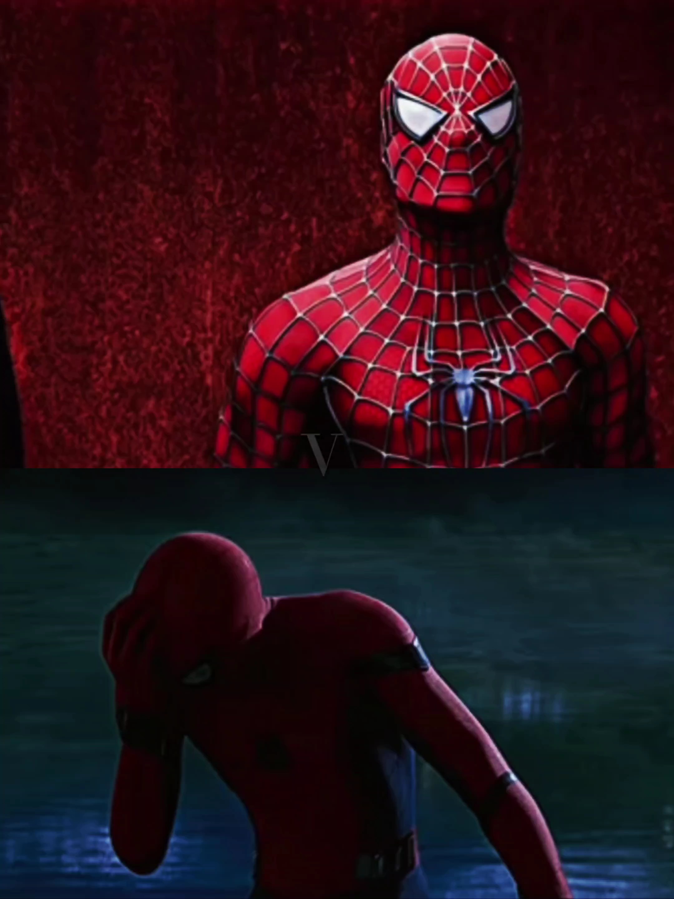 Symbiote Spider-Man PFP - Pippit