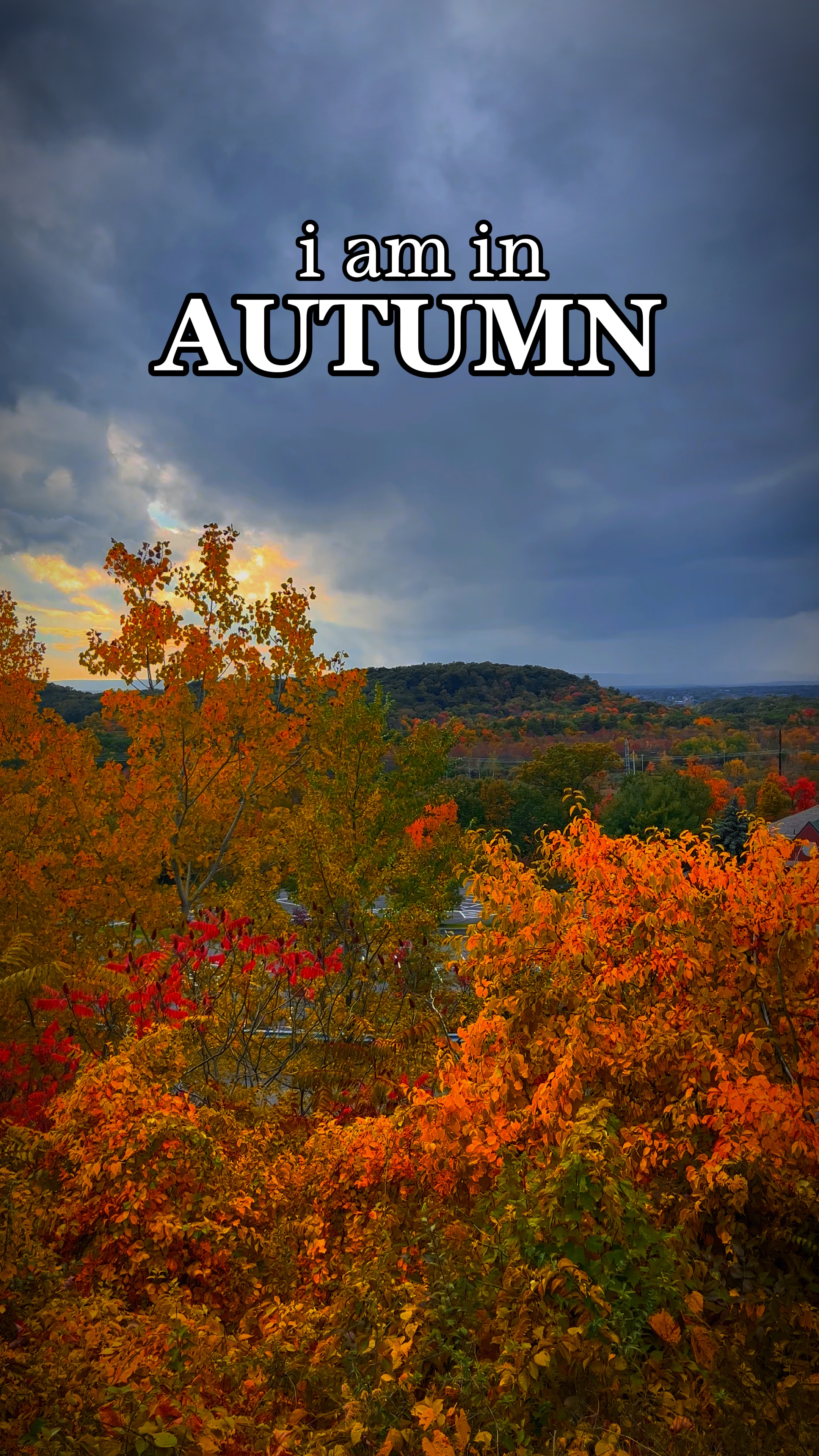 dti fall autumn theme - Pippit