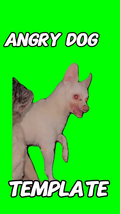 Dog Scared Meme - Pippit