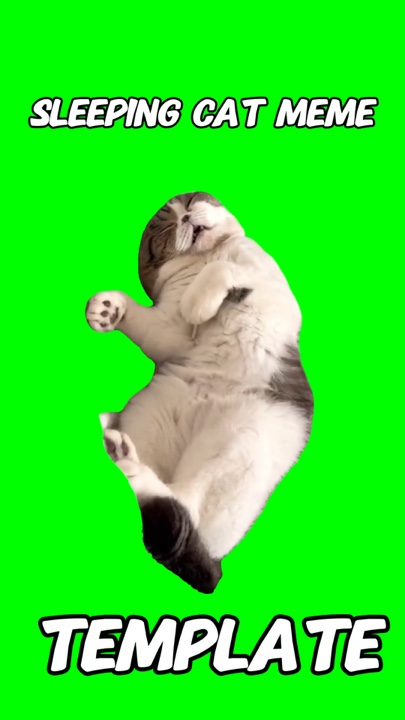 Memes gato entediado - Pippit-CapCut Commerce Pro