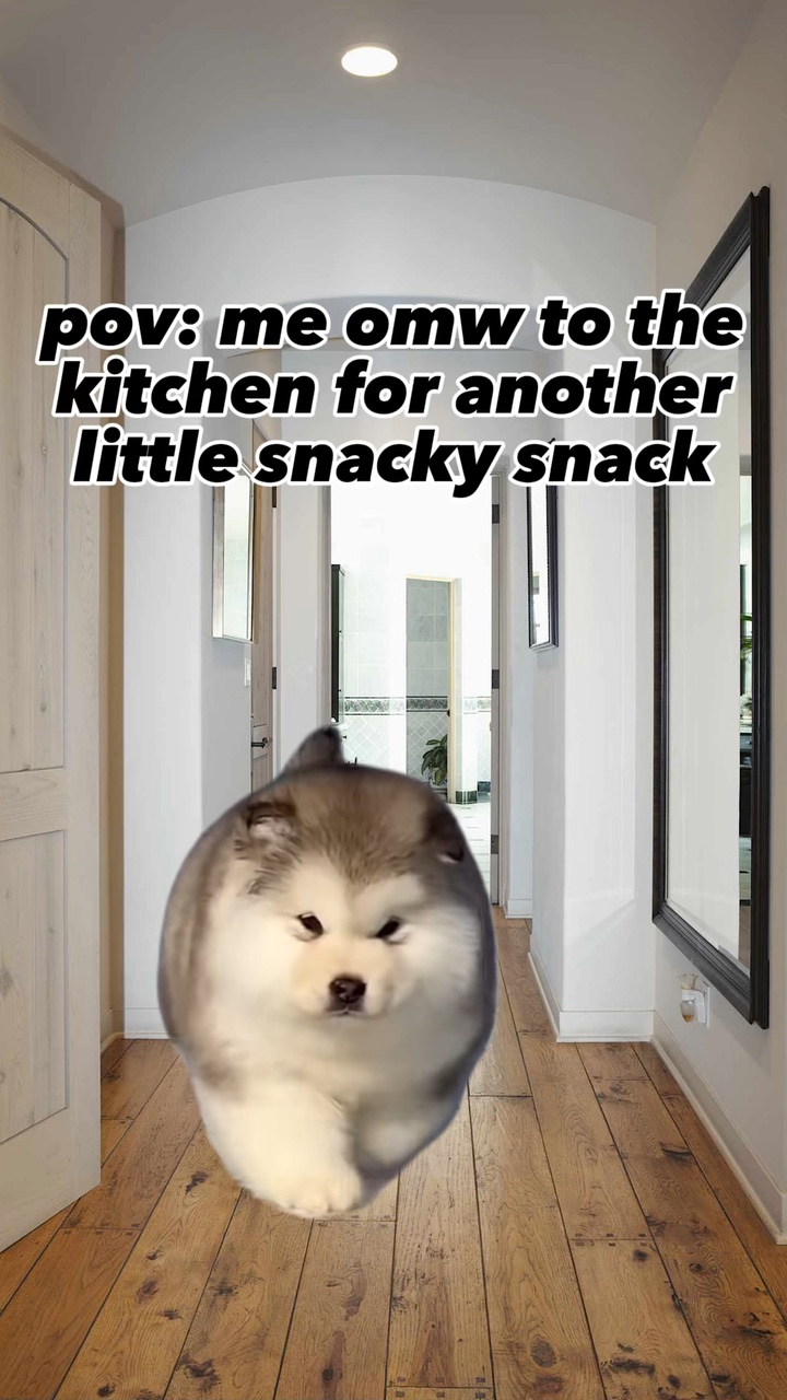 Funny Templates on Food Eating - Pippit