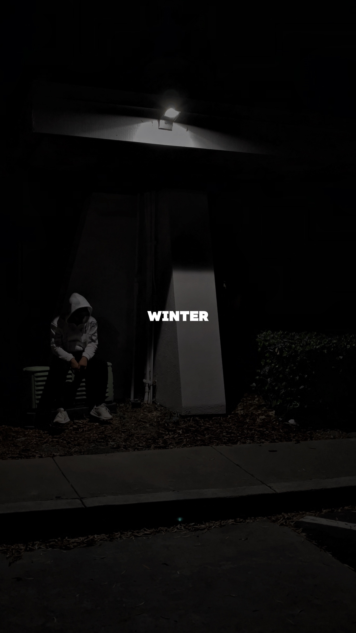 Winter Automotive Template - Pippit