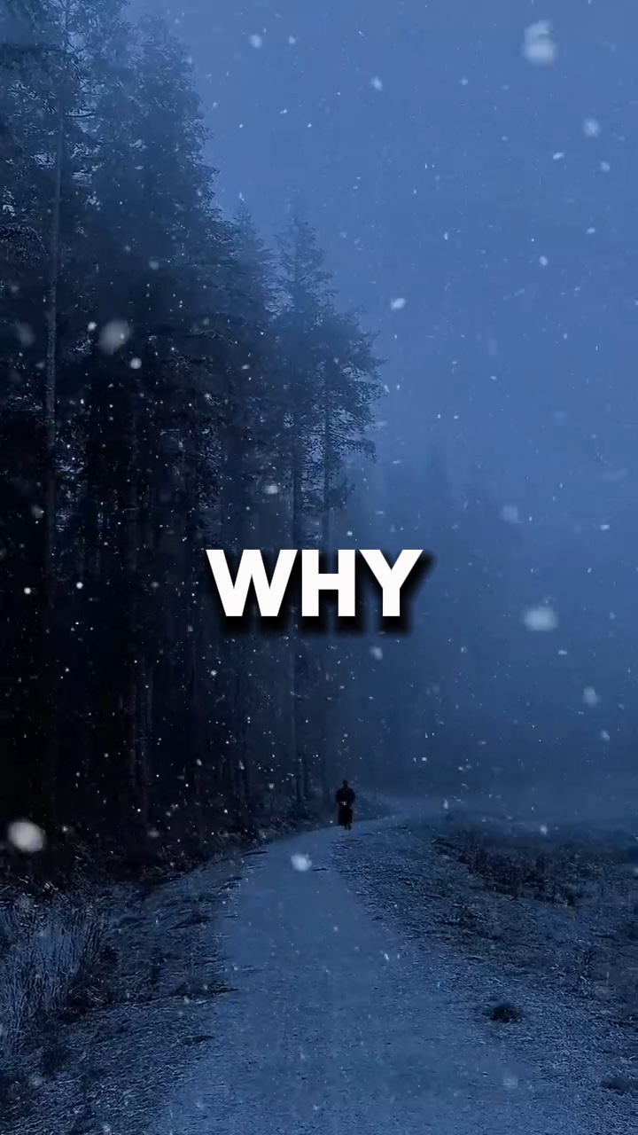 Cut Them Off - video template by CapCut